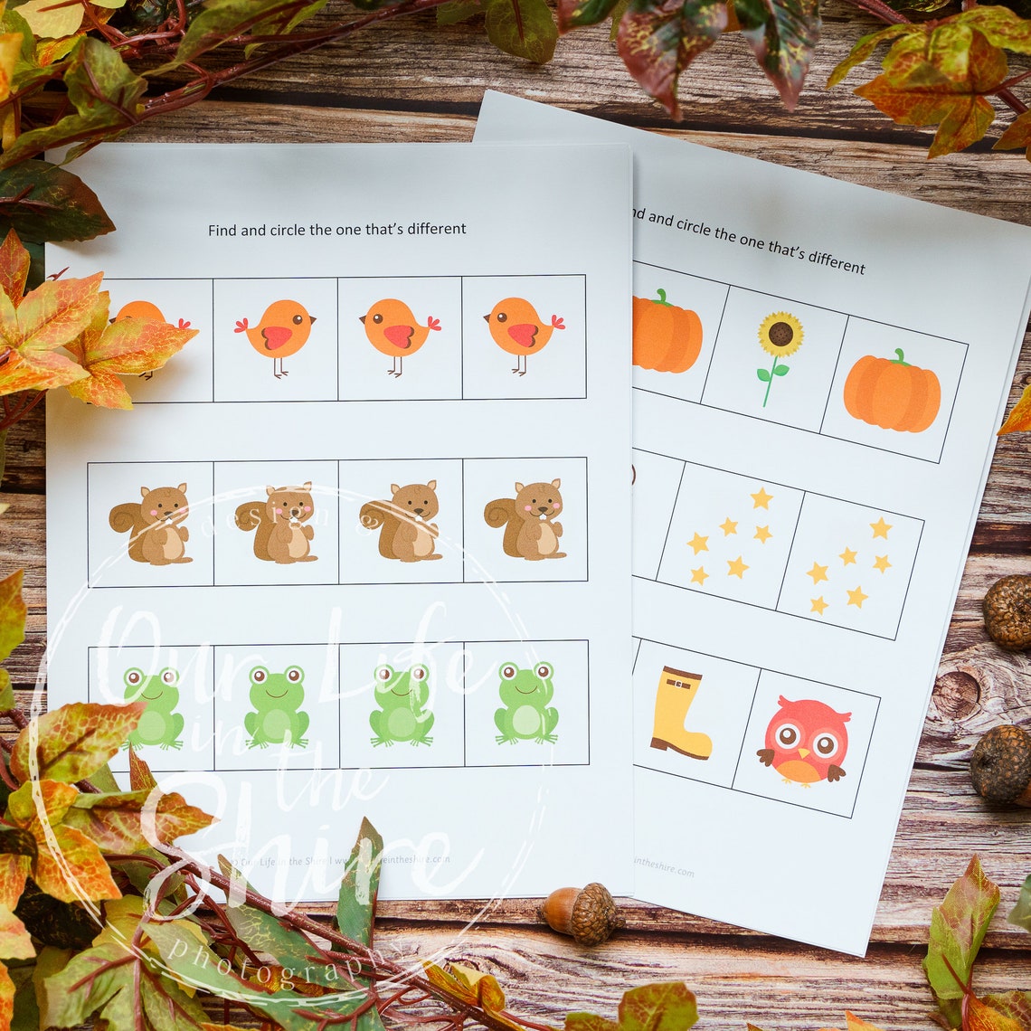 Fall Forest Friends Fun & Games Homeschool Printable | Etsy