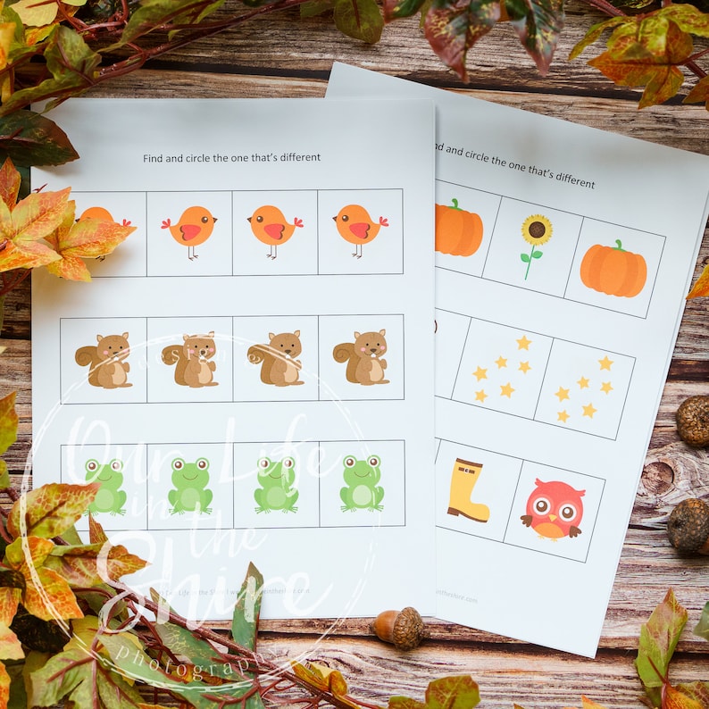 Fall Forest Friends Fun & Games | Homeschool Printable Activities ...