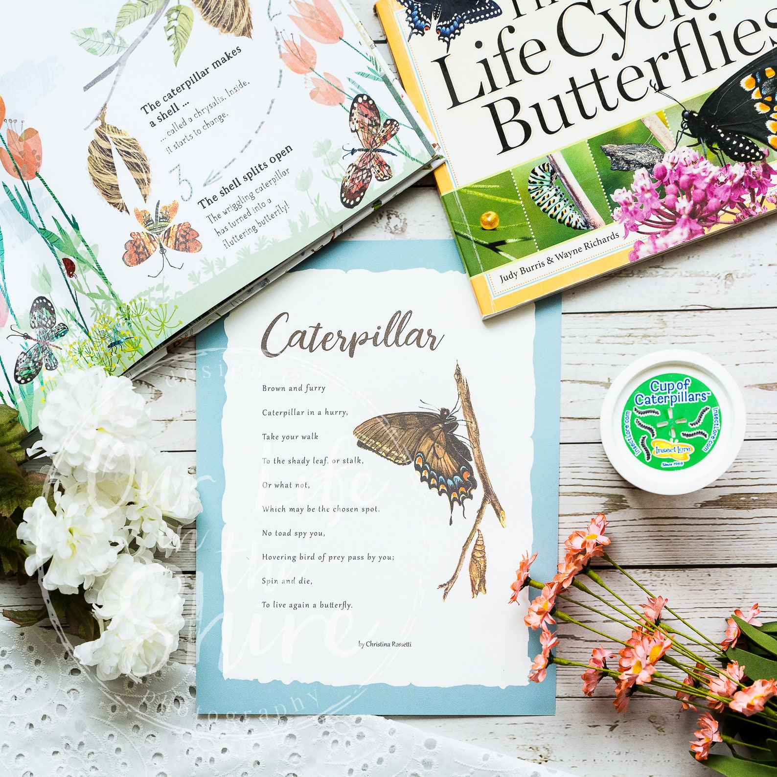 Nature Poems Printable Set | Wall Art | Homeschool Printable ...