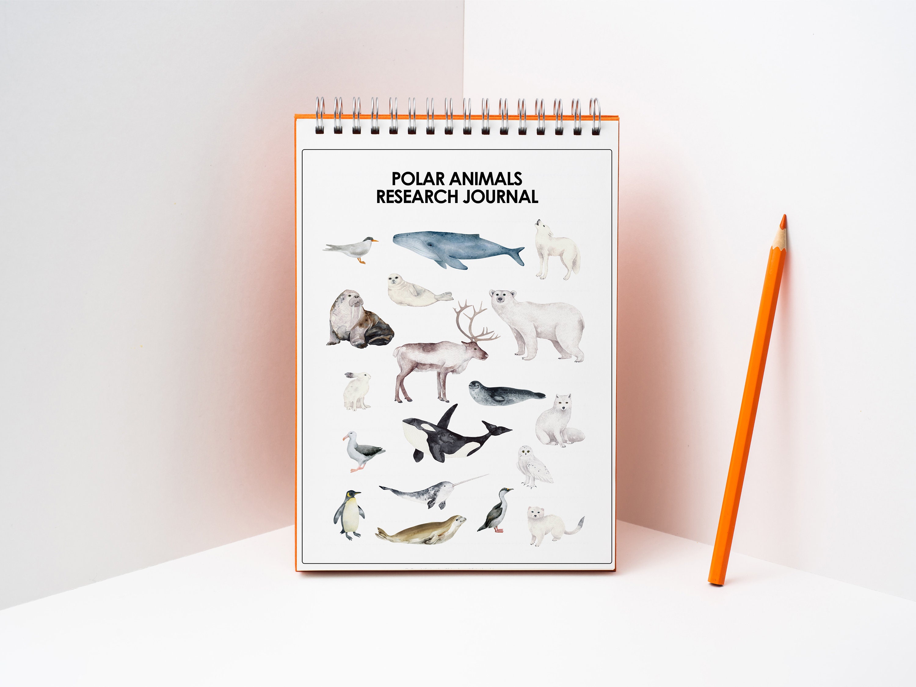 Polar Animals Research Journal and Fact Cards Science Unity | Etsy