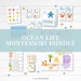 Ocean Life ULTIMATE Bundle | Homeschool Printable Activities | Numbers ...