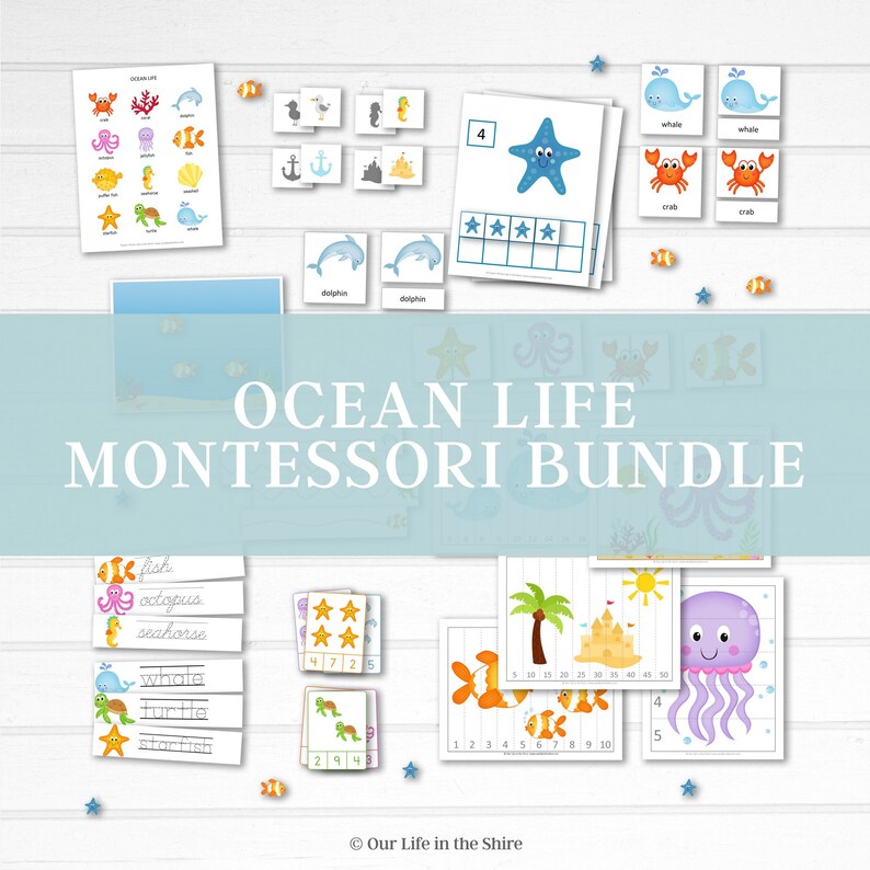 Ocean Life ULTIMATE Bundle Homeschool Printable Activities - Etsy