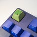 AC Inspired Artisan Keycaps Set of 2 for Cherry MX Mechanical Gaming ...