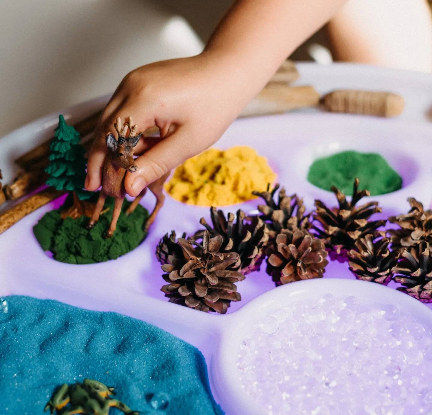 Sand and Water Tub With 11 Compartments for Light Table. the Sand and ...