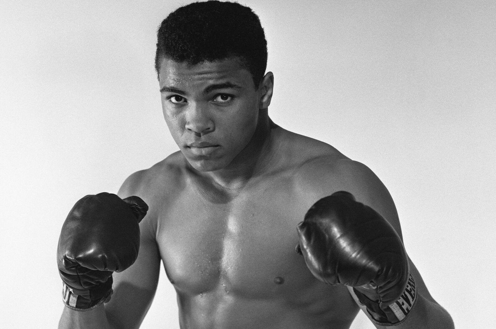 Muhammad Ali Poster 24x36 Inch Rolled Wall Poster - Etsy