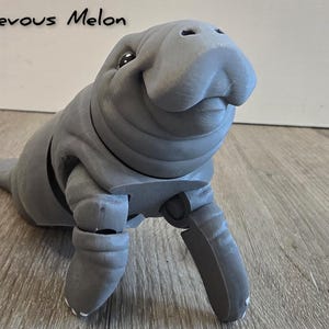 Paint Your Own Manatee | Articulated Manatee Fidget Toy, Desk Toy | Mat ...