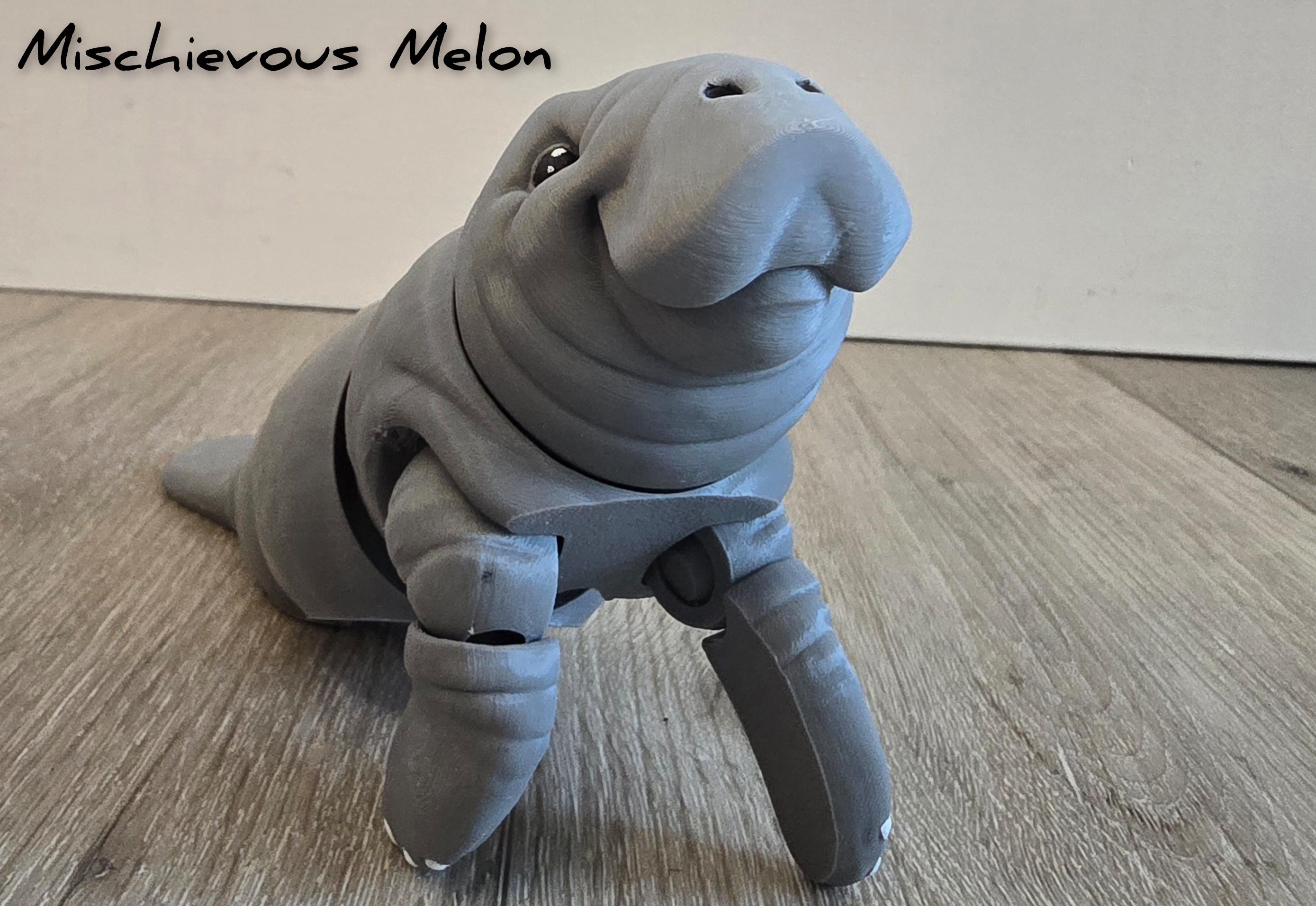 Paint Your Own Manatee | Articulated Manatee Fidget Toy, Desk Toy | Mat ...