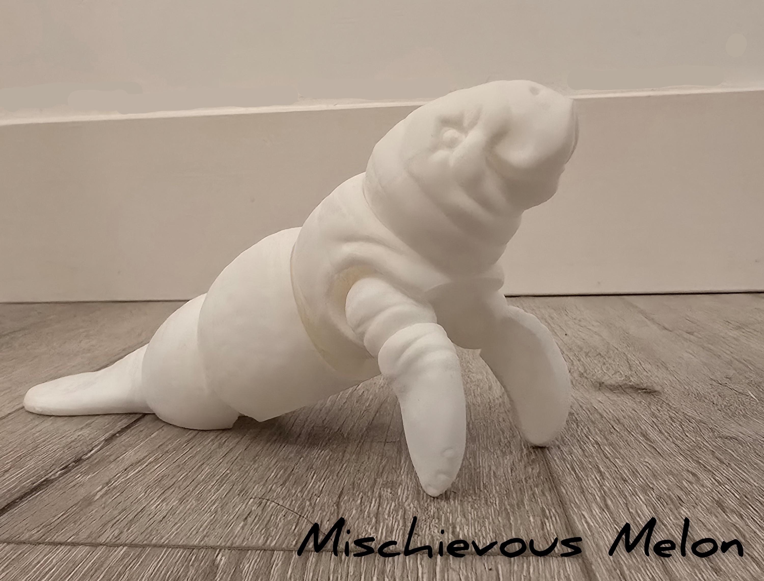 Paint Your Own Manatee | Articulated Manatee Fidget Toy, Desk Toy | Mat ...