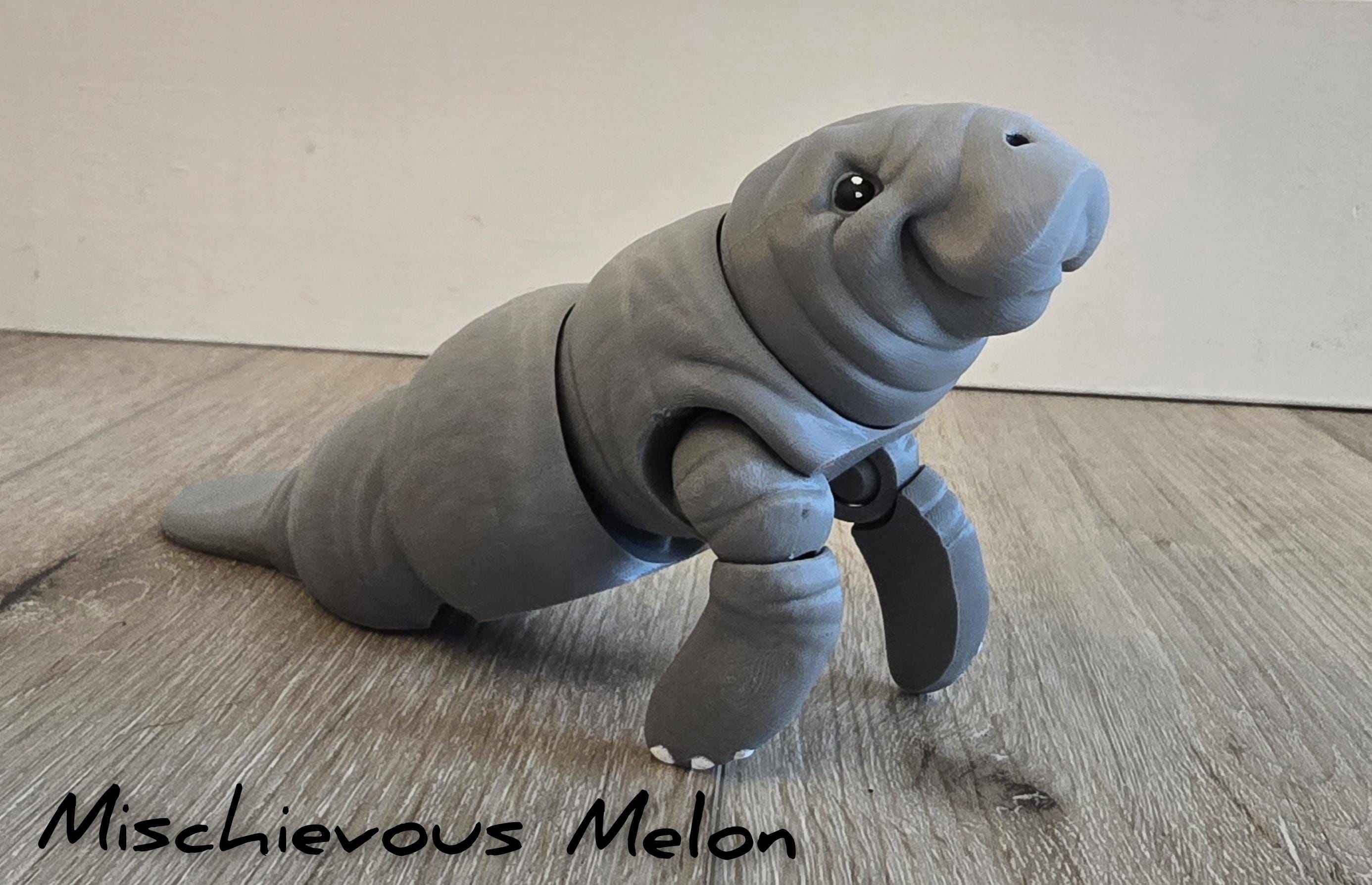 Paint Your Own Manatee | Articulated Manatee Fidget Toy, Desk Toy | Mat ...