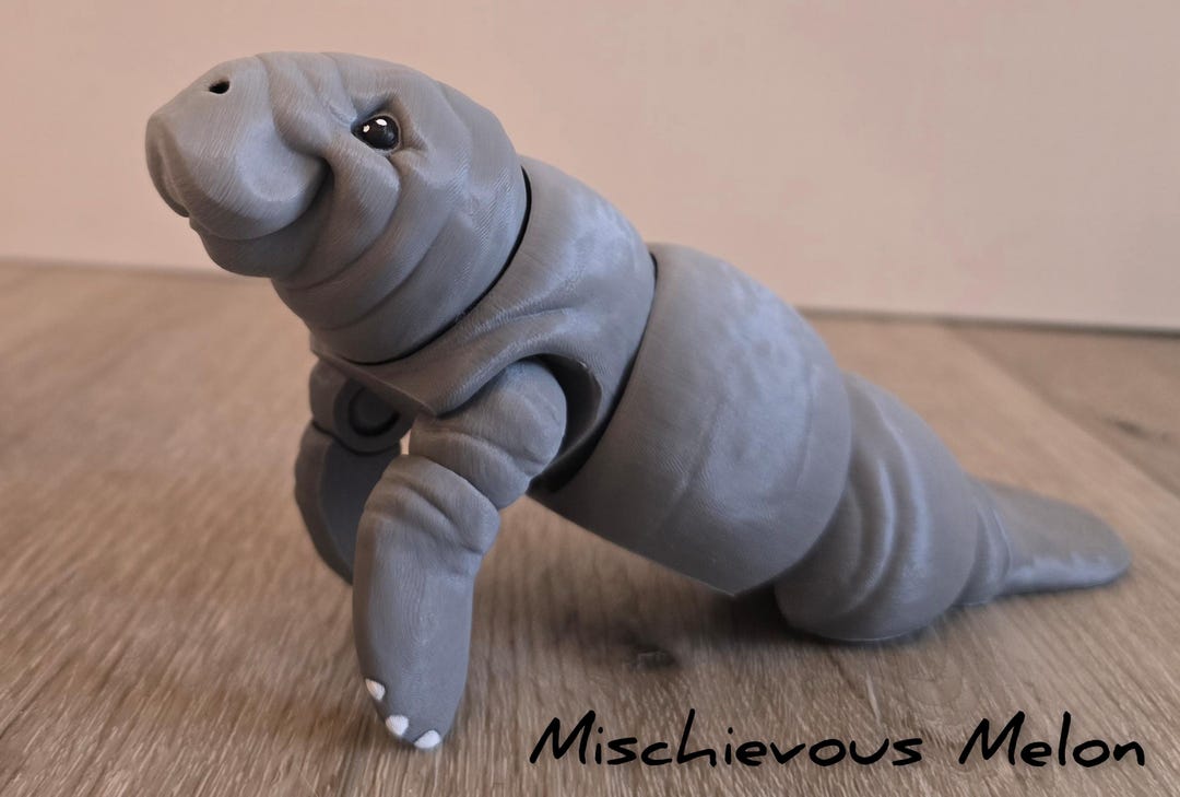 Manatee | Articulated Manatee | Manatee Fidget Toy, Desk Toy | Mat Mire ...