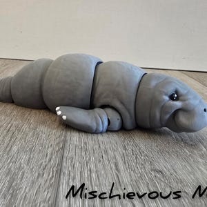 Paint Your Own Manatee | Articulated Manatee Fidget Toy, Desk Toy | Mat ...