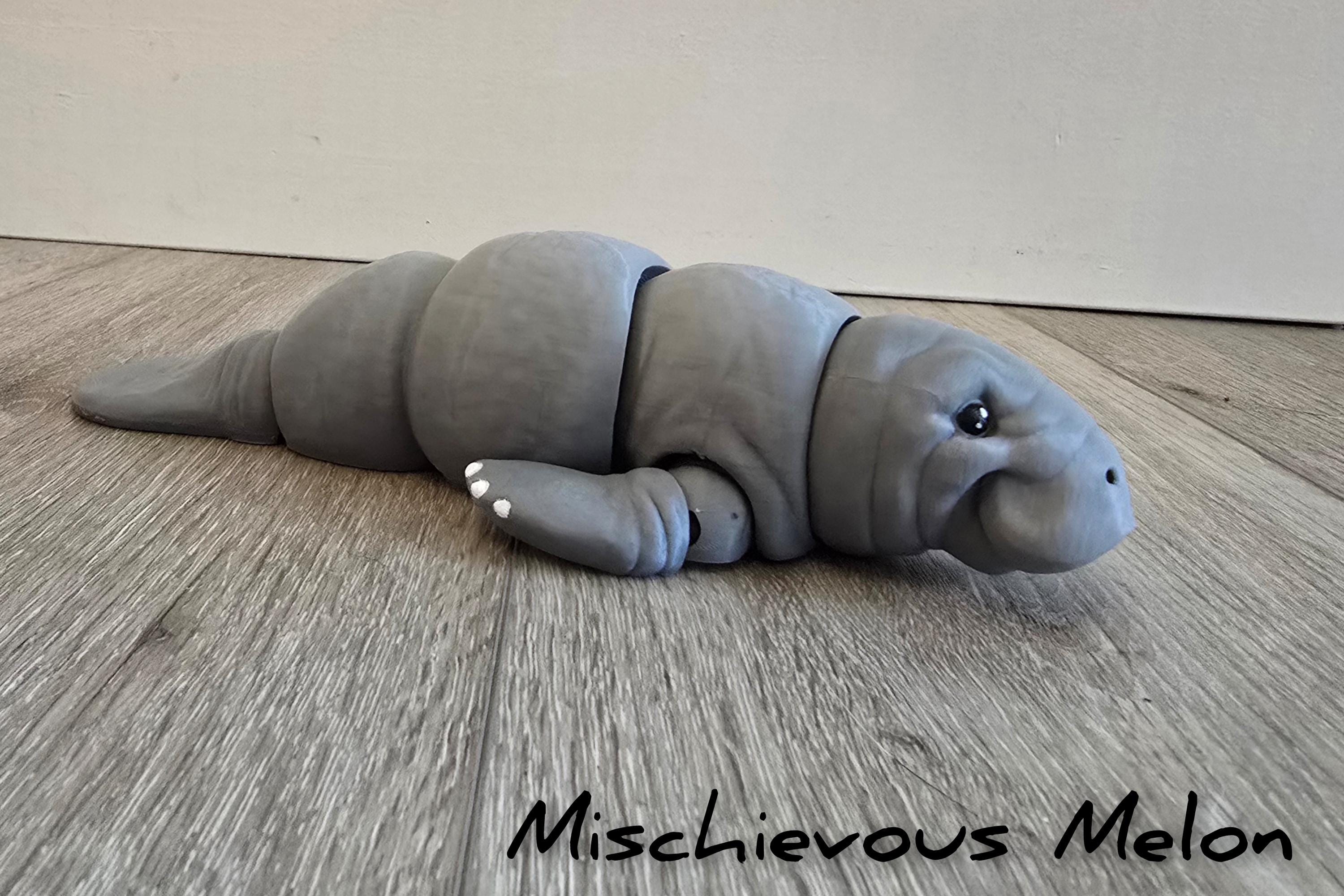Paint Your Own Manatee | Articulated Manatee Fidget Toy, Desk Toy | Mat ...