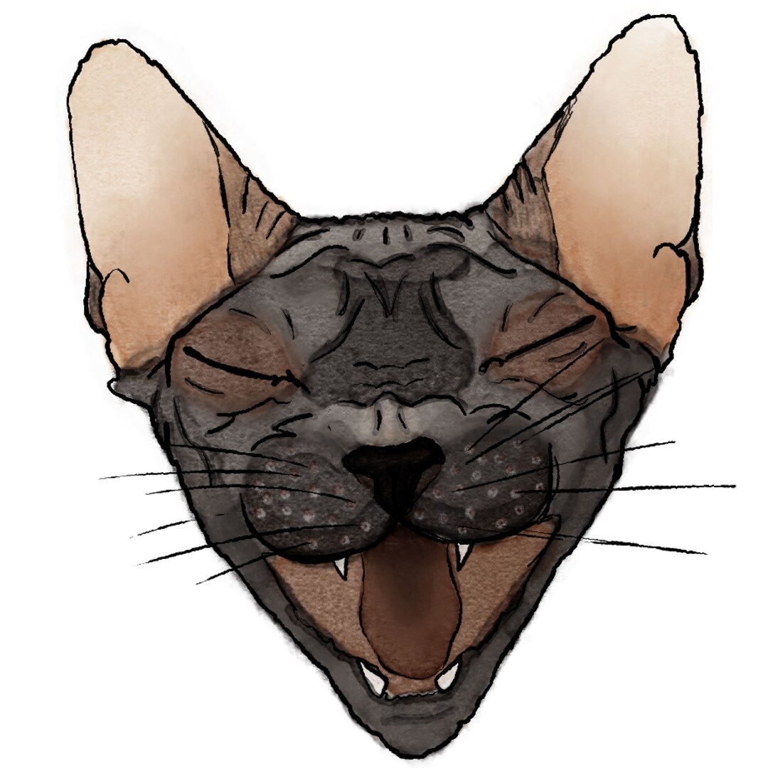 Screamo Cat, Sticker, Funny, Sphynx, Hairless, Screaming, Yelling, Cat ...