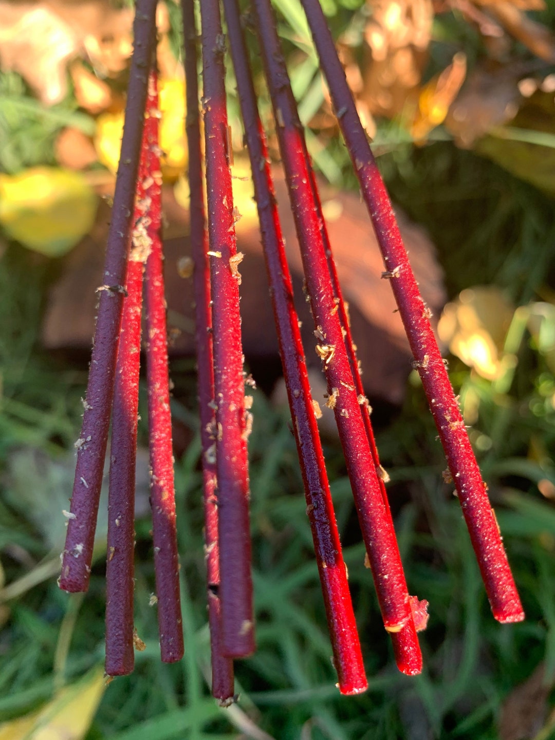 Home Blessing" - Viking Incense Sticks X 9 - Etsy