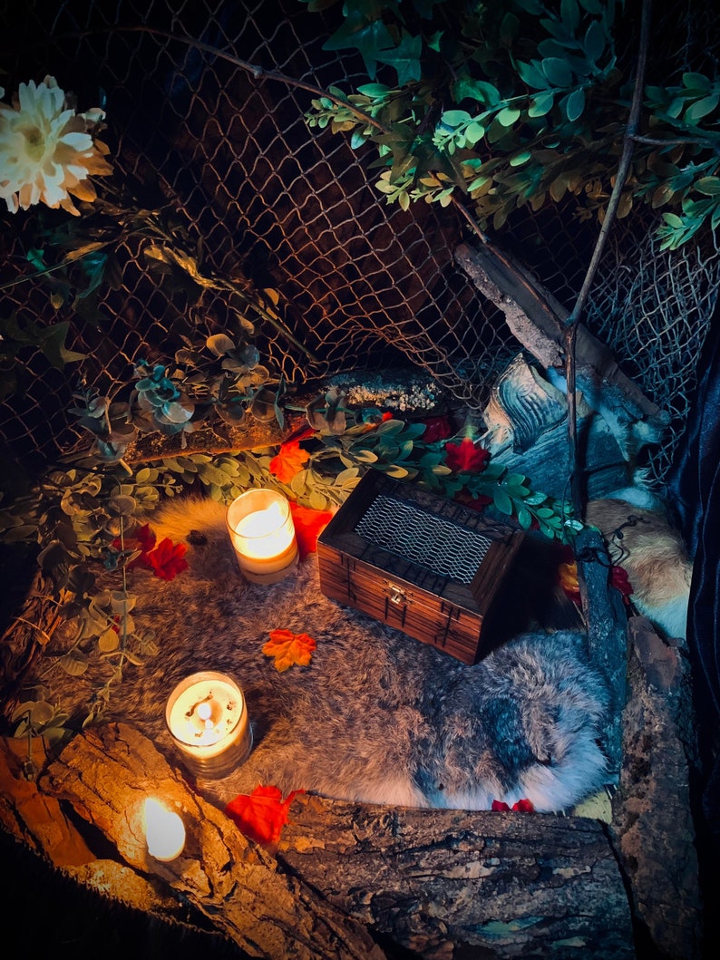 Viking Norse Pagan Rune Container Offering Box Altar Tool - Etsy