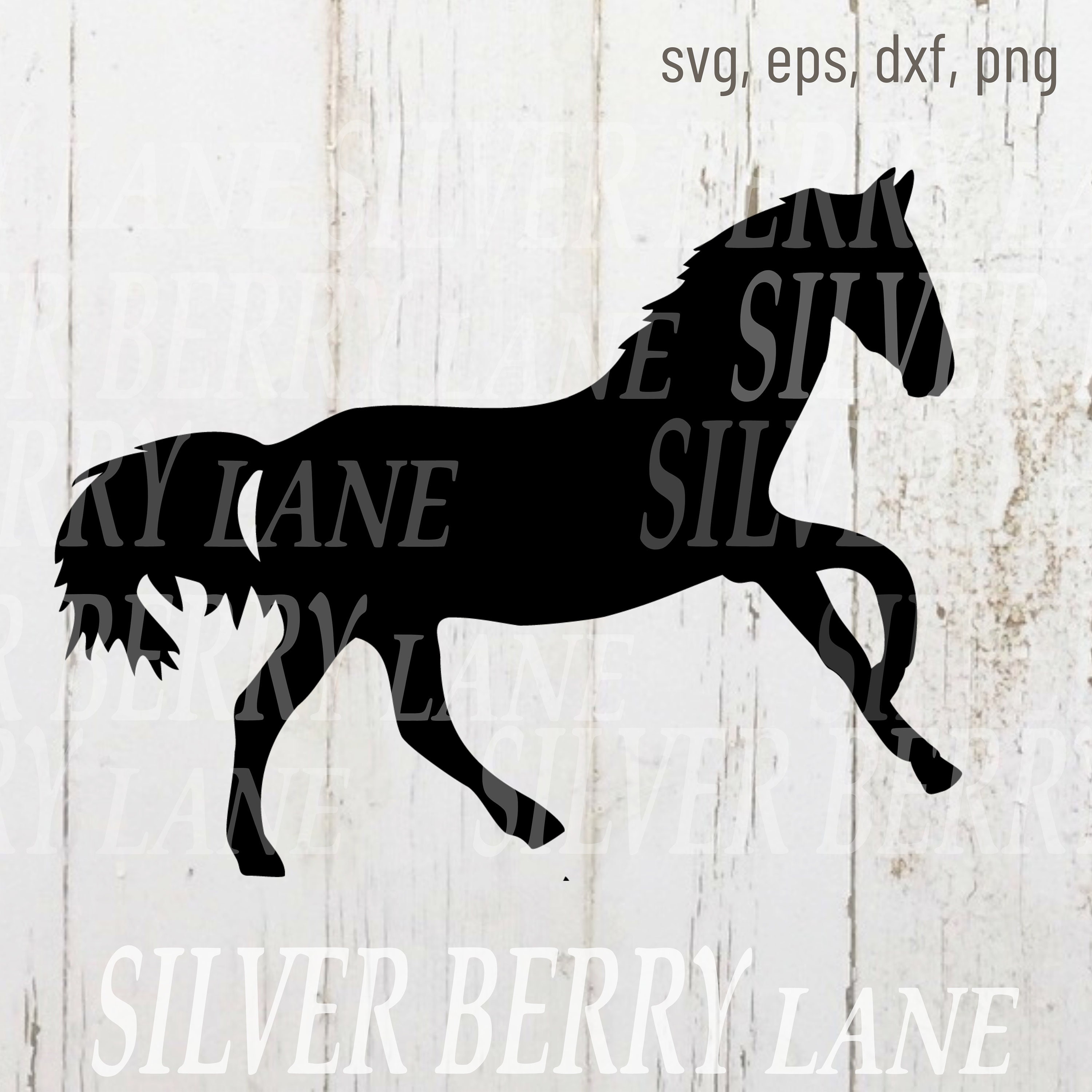 Caballo svg Bundle-Horse svg-Horse png-Running caballo svg-Standing ...