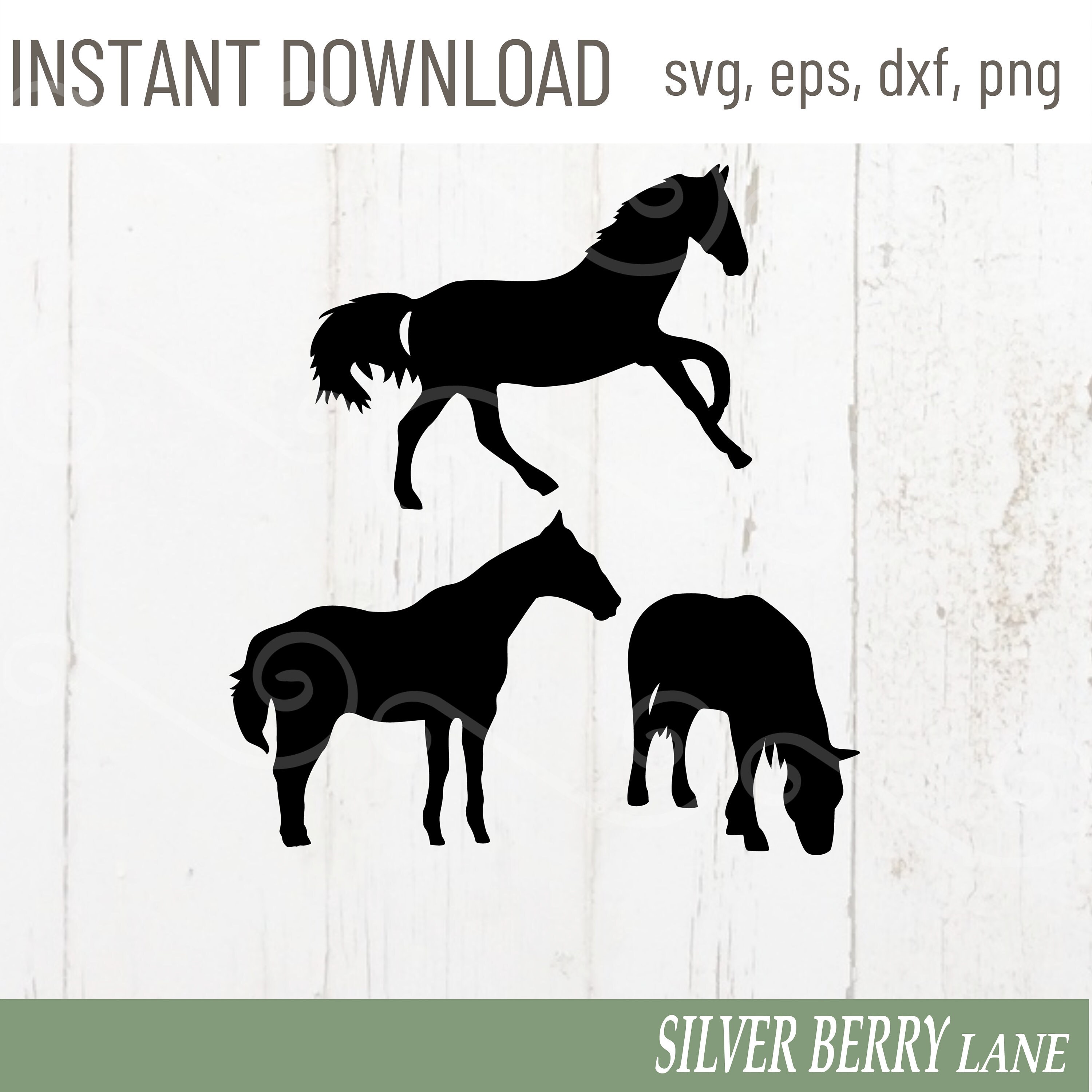 Caballo svg Bundle-Horse svg-Horse png-Running caballo - Etsy España