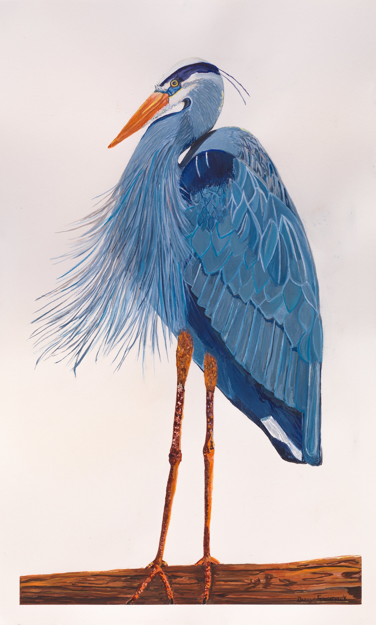 Blue Heron (limited Edition Print) - Etsy