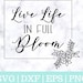 Spring SVG, Live Life in Full Bloom Svg, Spring Saying Svg, Spring Time ...