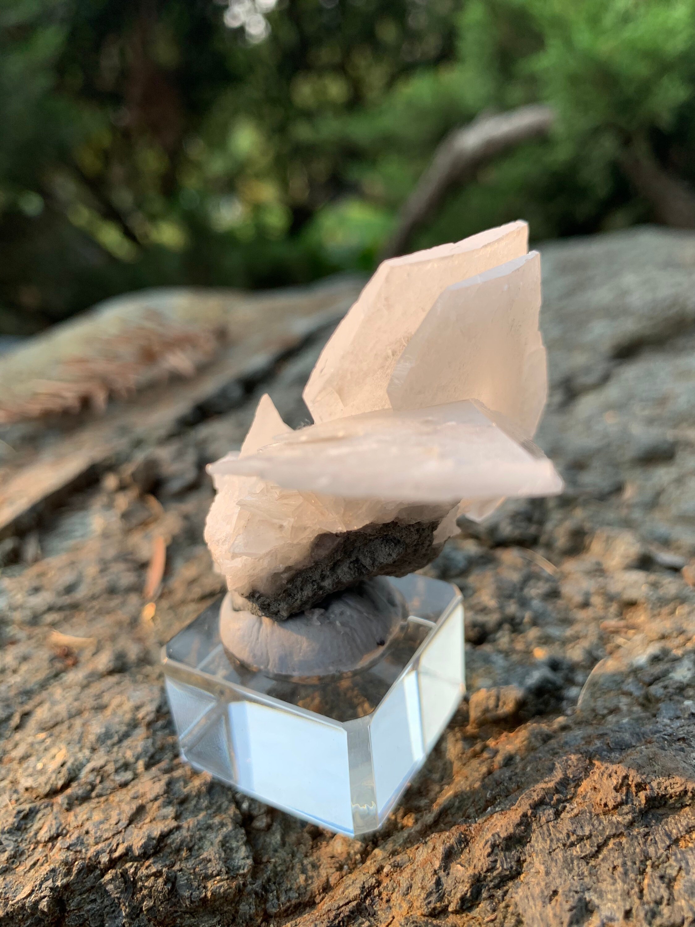 Bladed calcite specimen calcite cluster white calcite Uv | Etsy