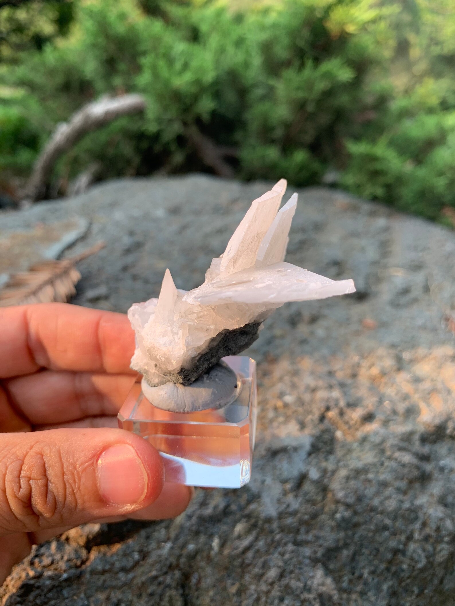Bladed calcite specimen calcite cluster white calcite Uv | Etsy