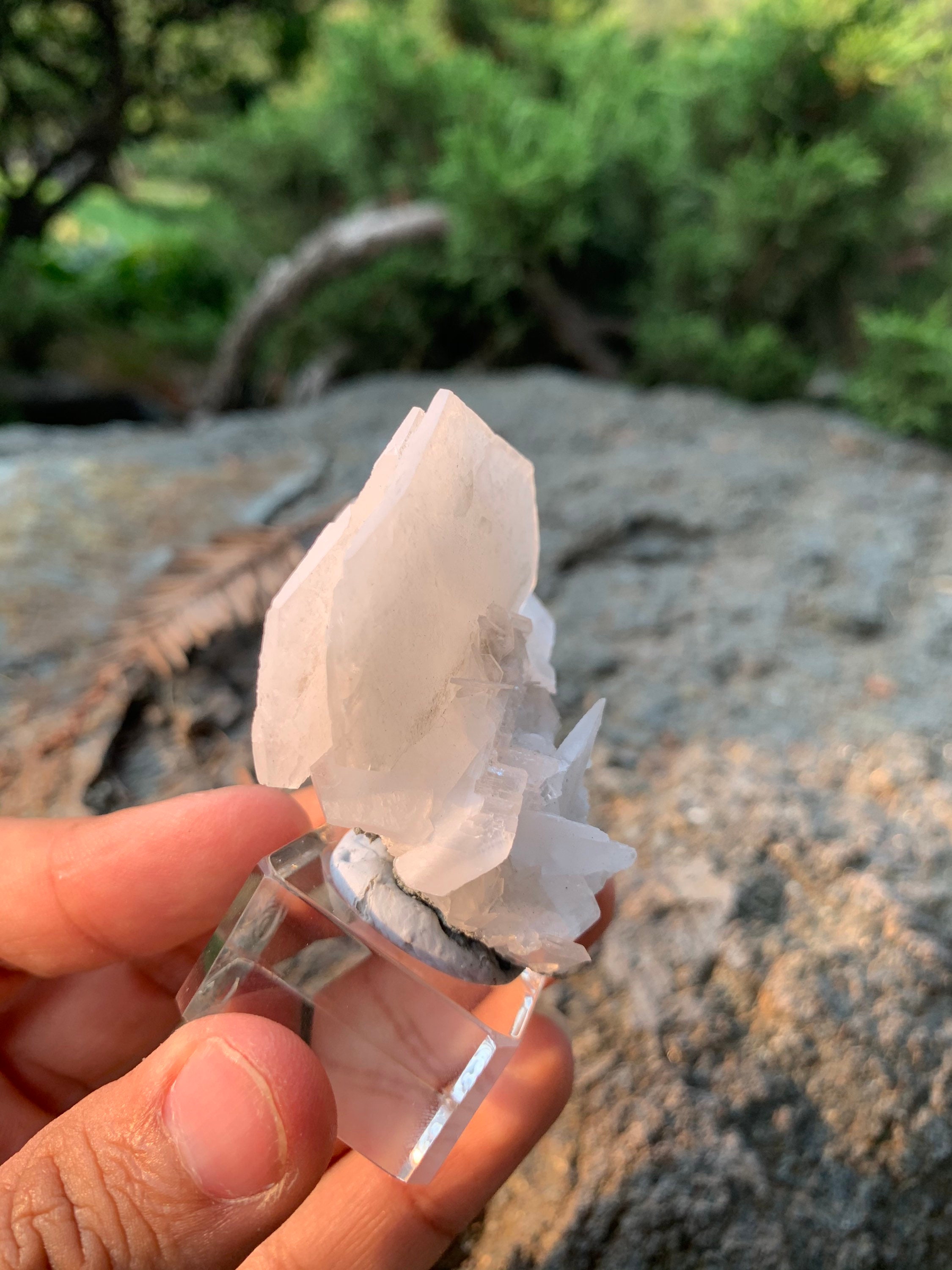Bladed calcite specimen calcite cluster white calcite Uv | Etsy