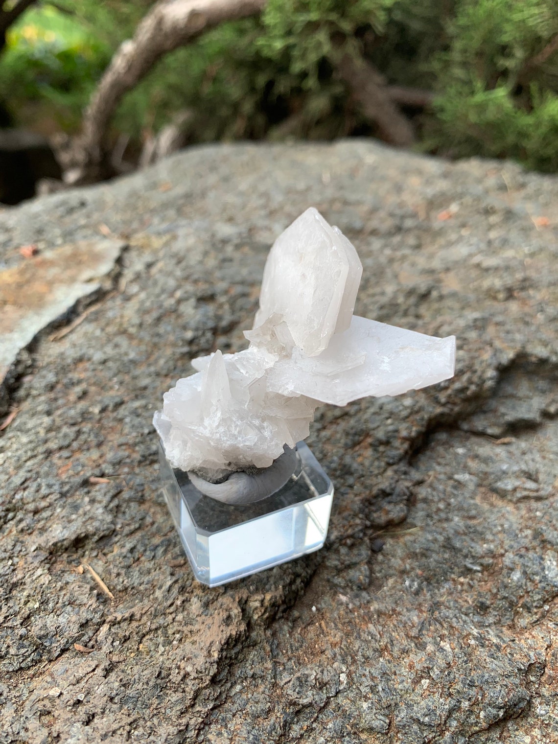 Bladed calcite specimen calcite cluster white calcite Uv | Etsy