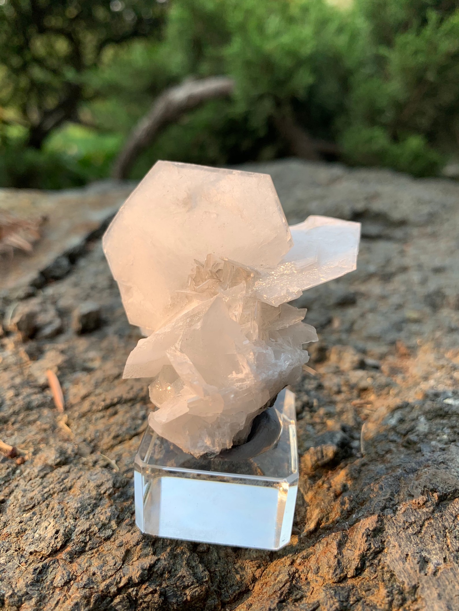 Bladed calcite specimen calcite cluster white calcite Uv | Etsy