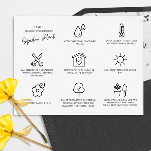 Printable House Plant Care Guide Indoor Plant Care | Etsy