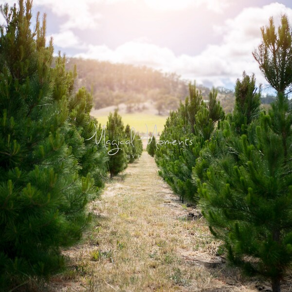 Christmas Backdrop - Etsy