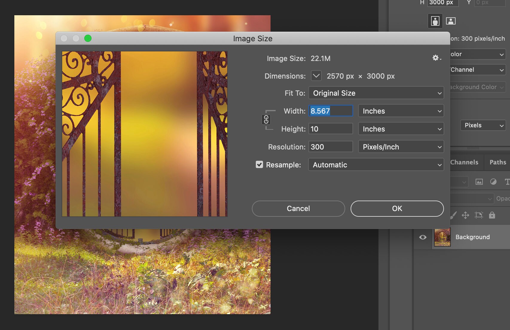 Beautiful Fairy Gate Digital Background. Fairy Wing PNG | Etsy
