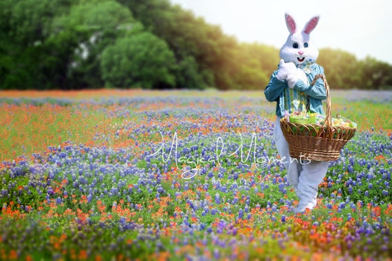 Easter Bunny Digital Background. Spring Flower Field Digital | Etsy
