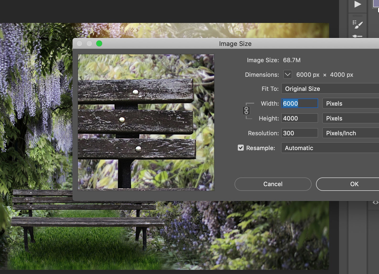 Beautiful Spring Digital Background. Garden backdrop. INSTANT | Etsy