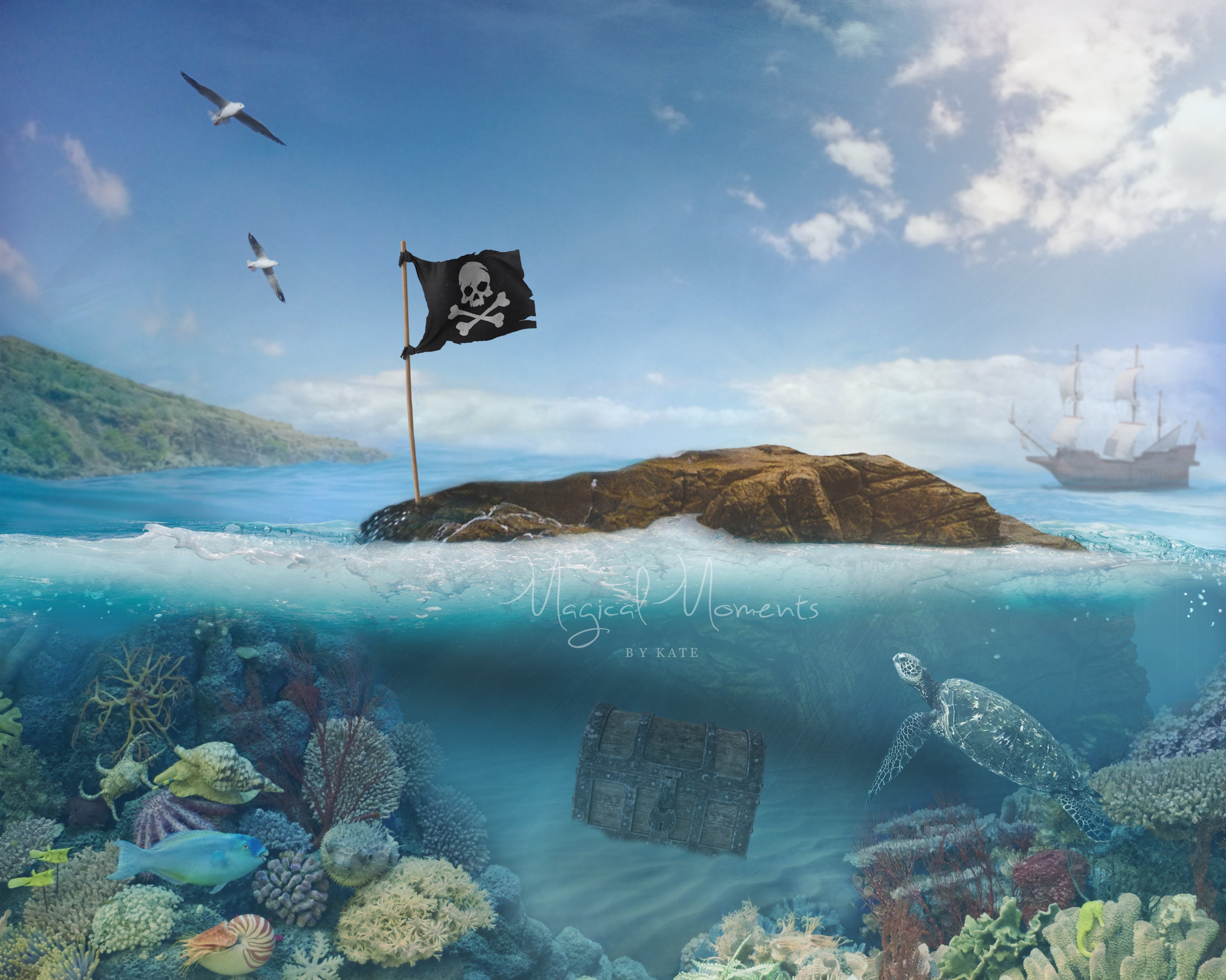 Pirate Island Digital backdrop. Background ideal for pirates | Etsy