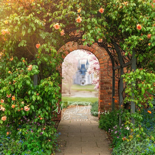 Outdoor Digital Backdrop - Etsy