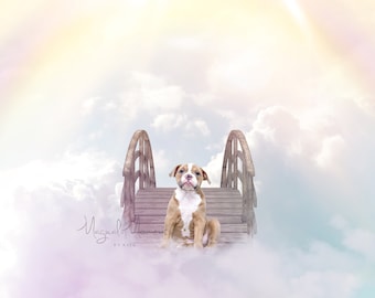 Pet Heaven Pet Loss Memorial Background Backdrop , Fields Rainbow ...