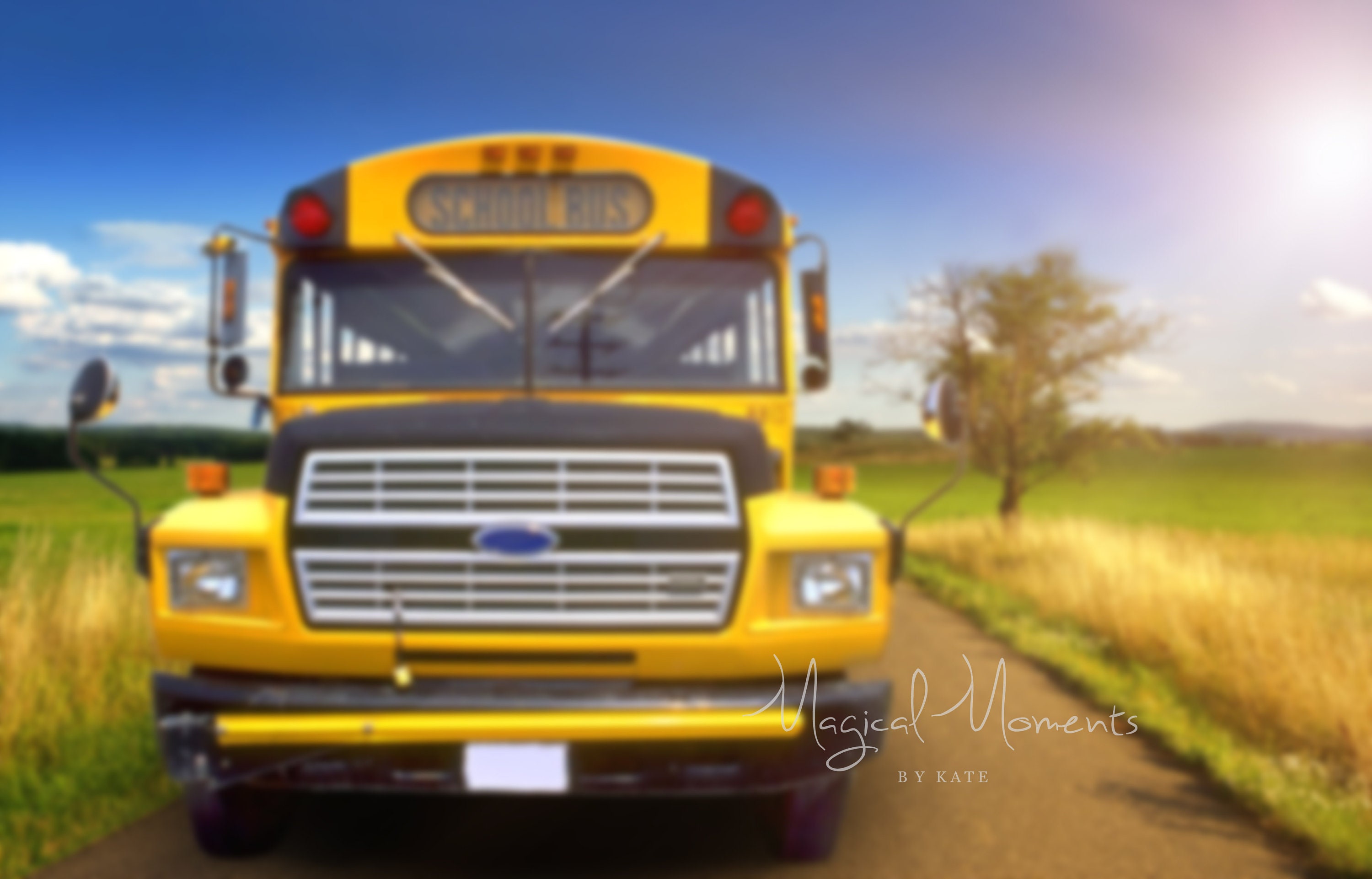 Vuelve a la escuela Fondo Digital de Autobús Escolar. Telón | Etsy