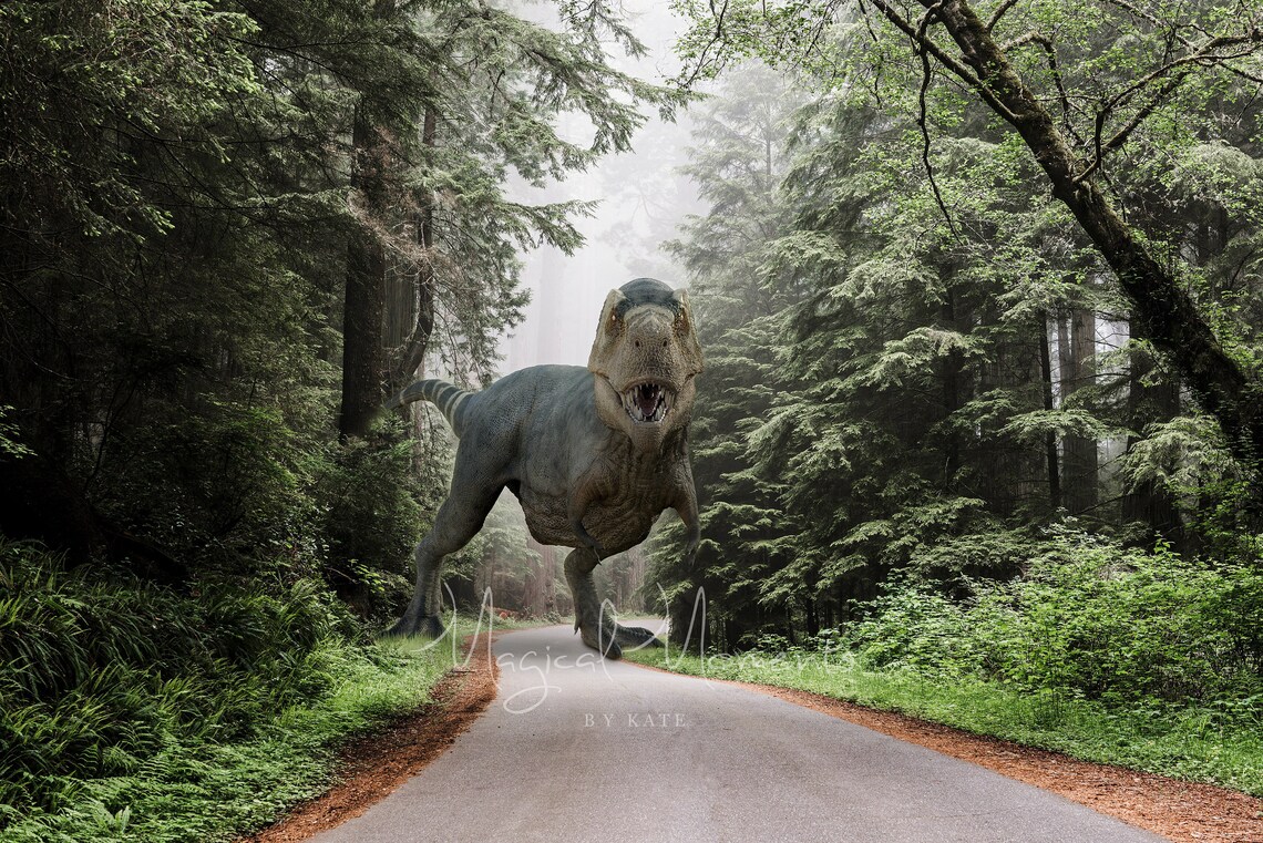 Dinosaur Digital Background. T-rex Backdrop for Photographers. | Etsy