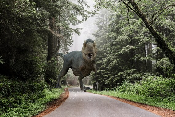 Dinosaur Digital Background. T-rex Backdrop for Photographers. | Etsy