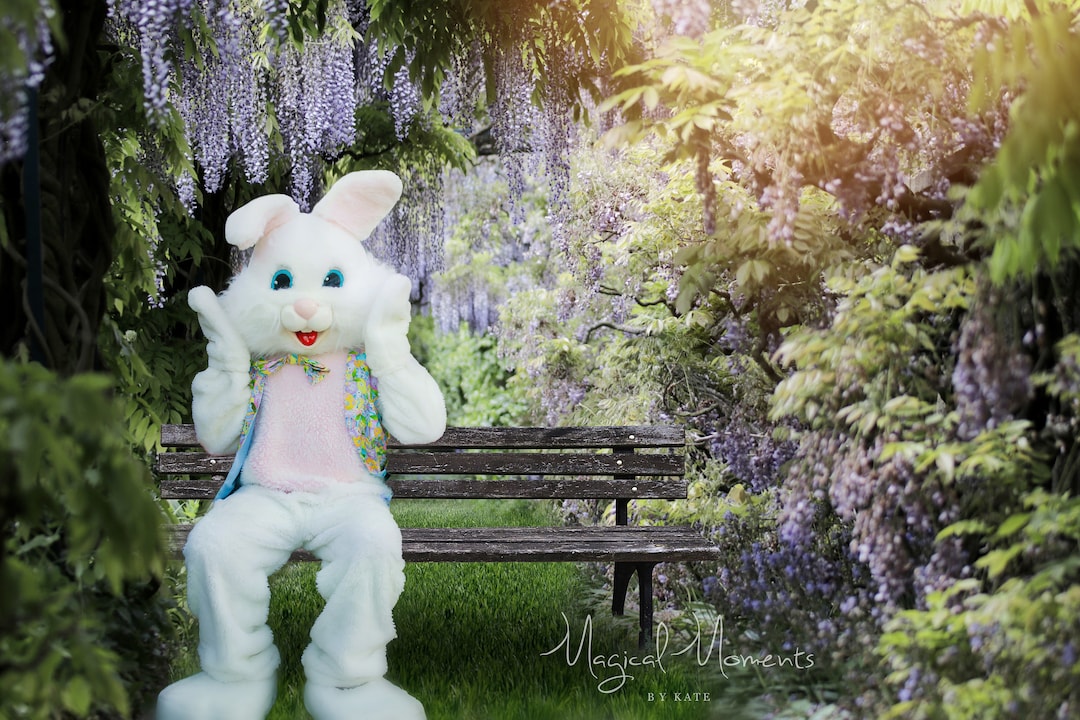 Beautiful Spring Easter Bunny Background. Wisteria Backdrop. INSTANT ...