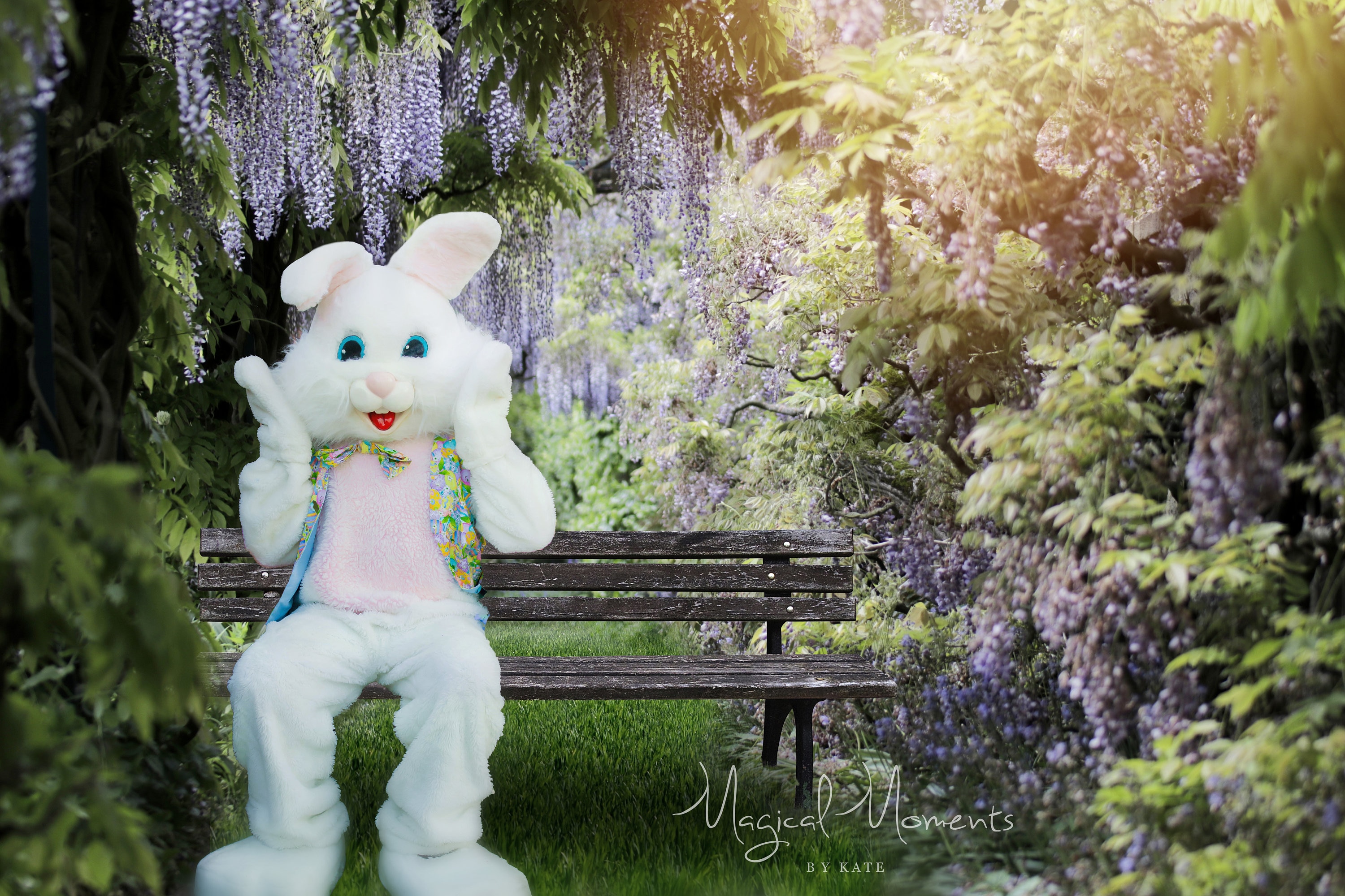 Beautiful Spring Easter Bunny background. Wisteria backdrop. | Etsy