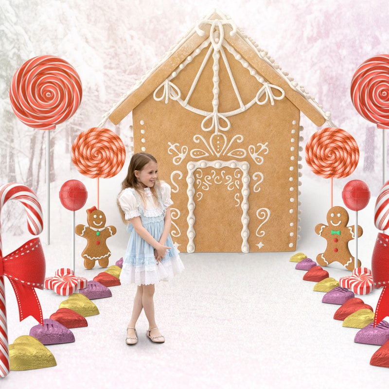 Gingerbread Backdrop - Etsy