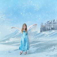 Frozen Backdrop - Etsy