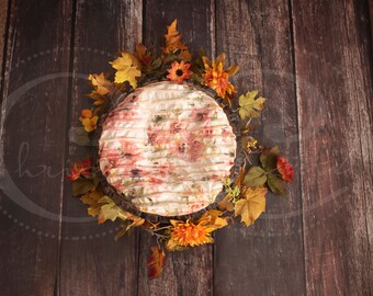 Fall Digital Backdrop, Newborn Baby Digital Backdrops, Digital ...