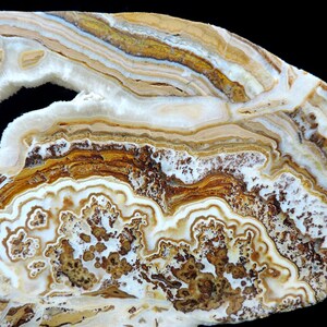 Spectacular Extra Large Slab Featuring Banded and Veined White and ...