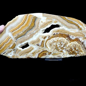 Spectacular Extra Large Slab Featuring Banded and Veined White and ...