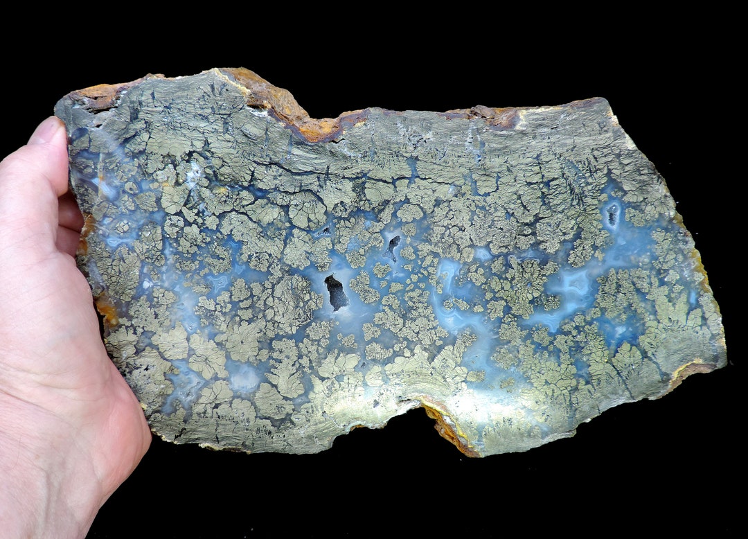 Amazing Super Size Slab Featuring Golden Pyrite/marcasite With 'flower ...