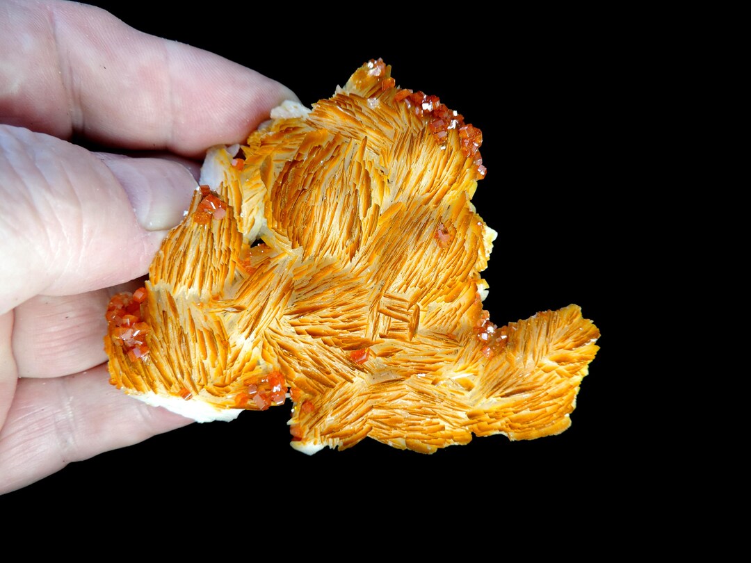 Super Showy Cabinet Sized Specimen With Red Tipped Barite Rosettes and ...