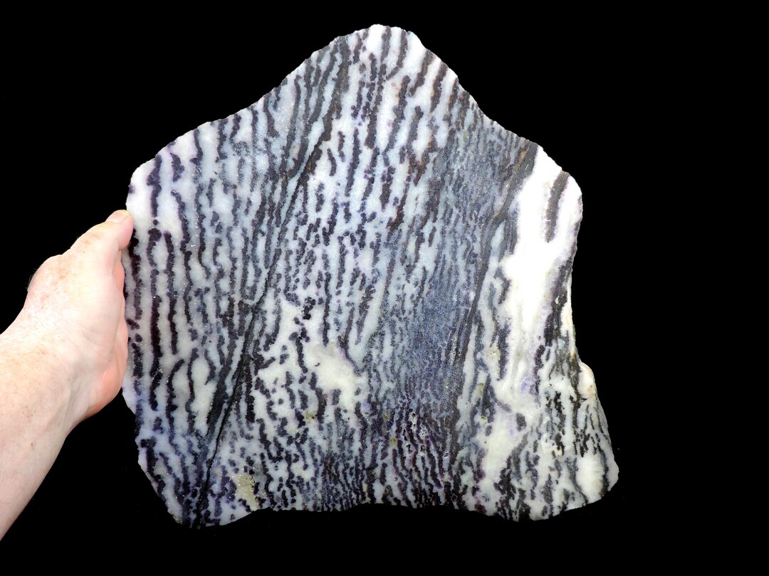 Super Sized Polished Slab of 'zebra Banded' Purple Fluorite and White ...