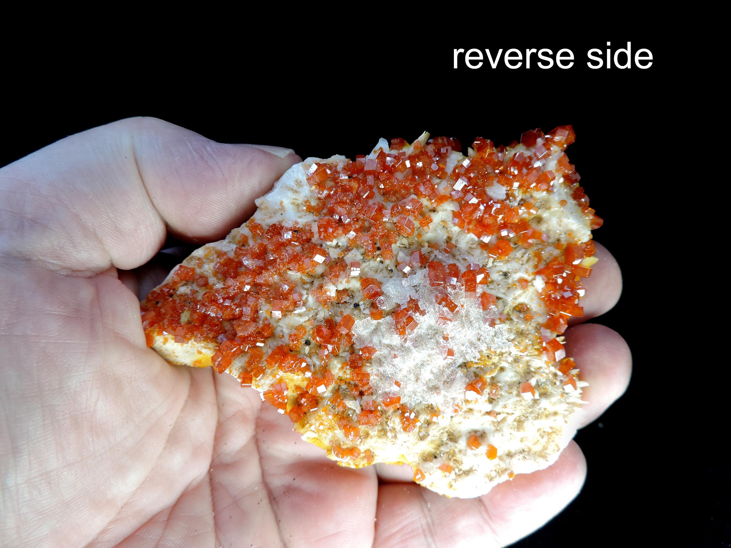 Super Showy Cabinet Sized Specimen With Red Tipped Barite Rosettes and ...